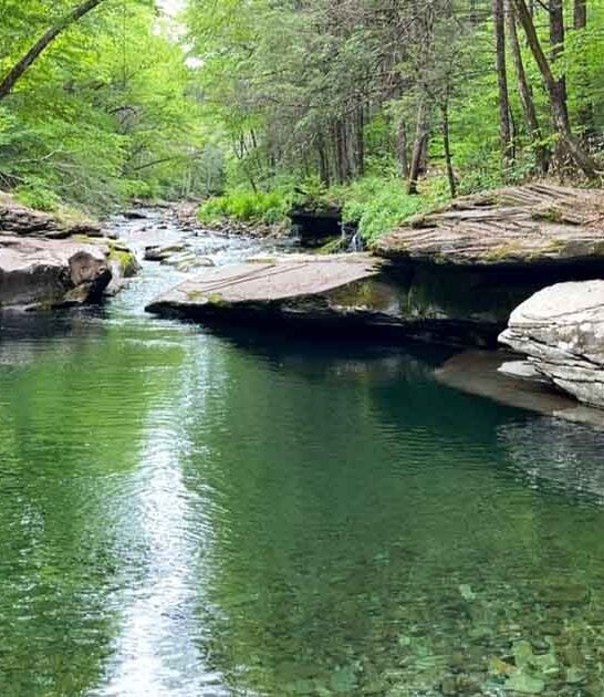 swimming hole new york ftr