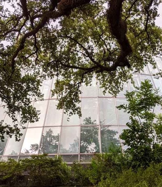thousands butterflies texas conservatory ftr