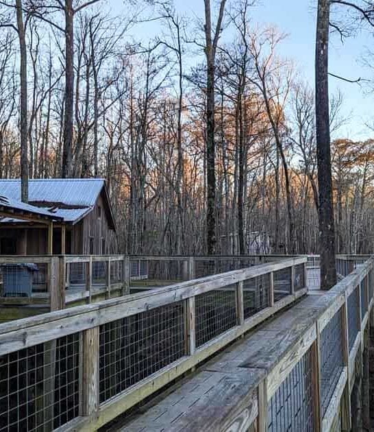 treehouse campground north carolina ftr