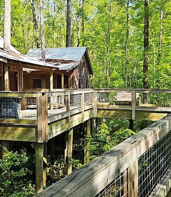 treehouse village north carolina ftr