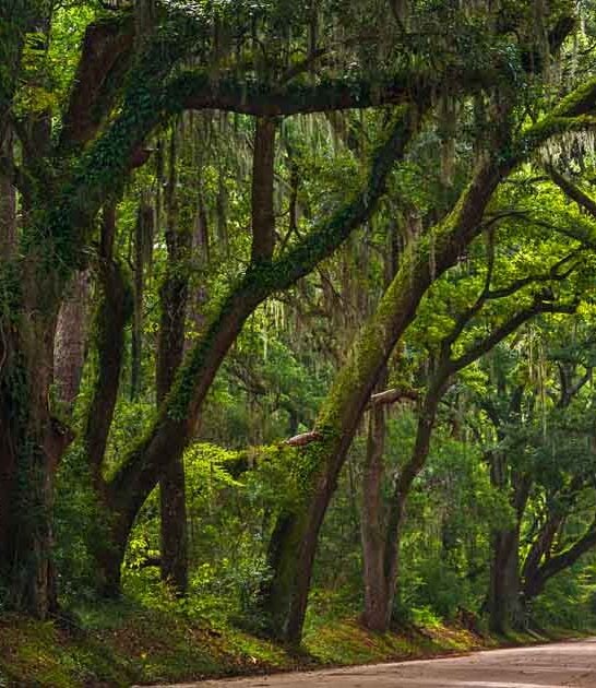 trip south carolina breathtaking ftr