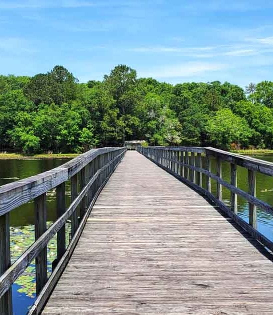 underappreciated parks alabama love ftr