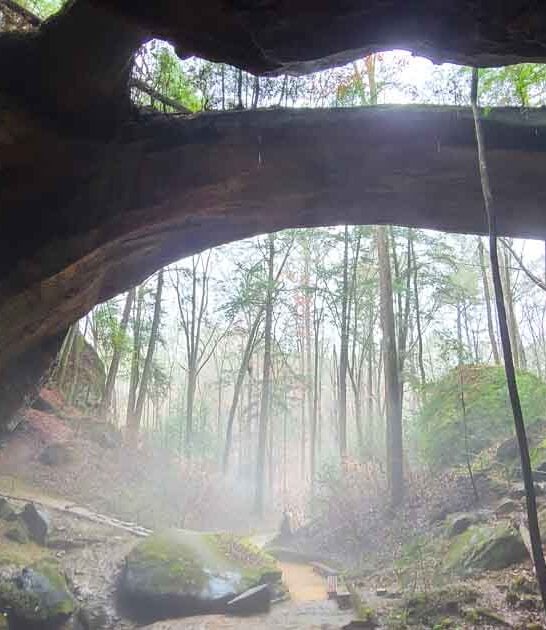 8 Underrated Places In Alabama That Even Natives Have Never Heard Of