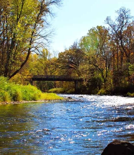 The Underrated Minnesota State Park That Locals Want To Keep Secret