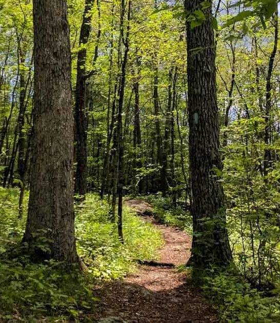 underrated state forest connecticut ftr