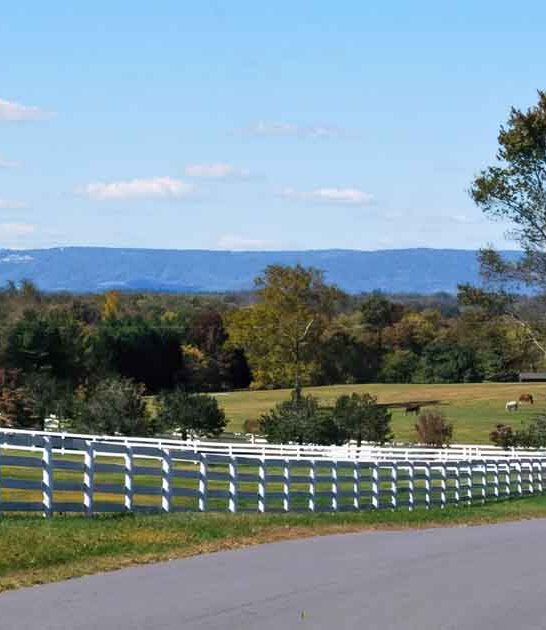 unforgettable virginia drive views ftr
