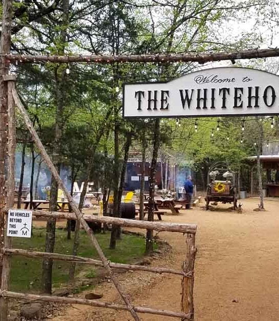 unique texas feast animals ftr