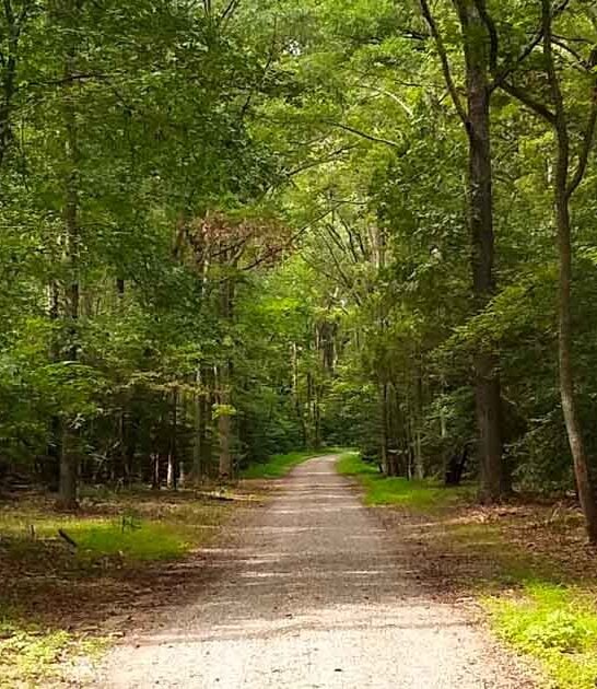 virginia state parks nature ftr