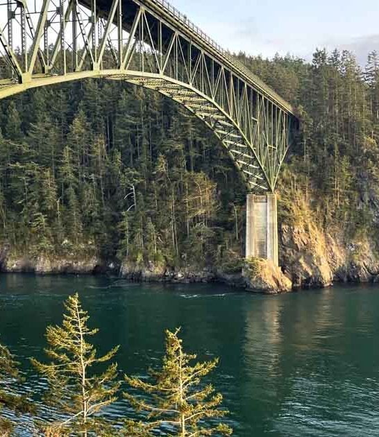 washington beautiful dreamy park ftr