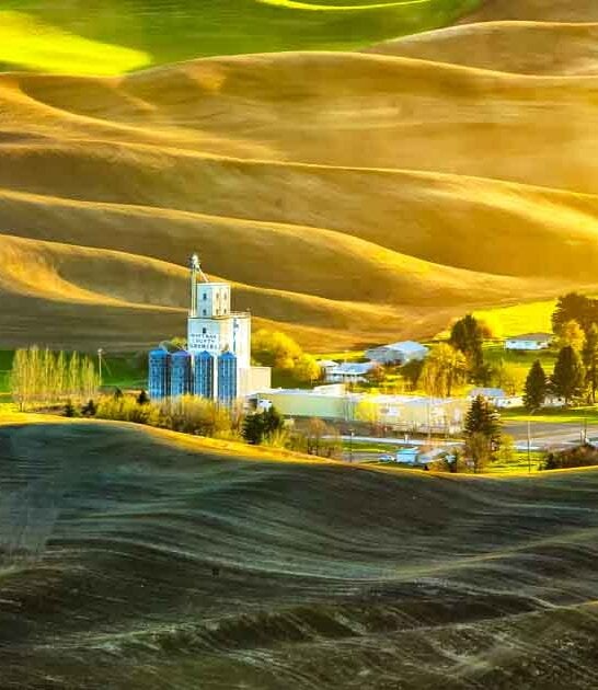 washington dreamy tuscany park ftr
