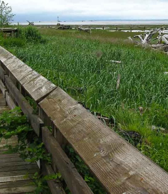 washington experience wildlife refuge ftr