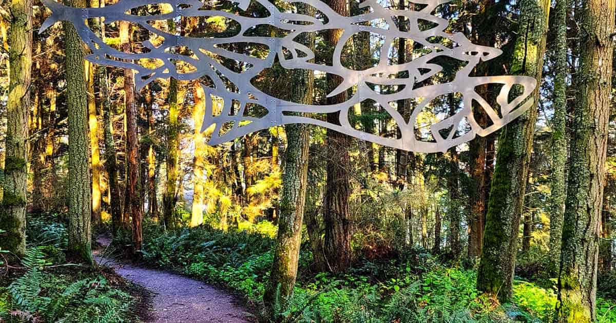This Washington Forest Has Massive Sculptures Hidden Among Ancient ...