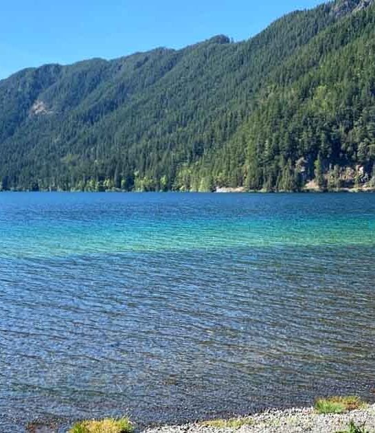 washington lake beach caribbean ftr