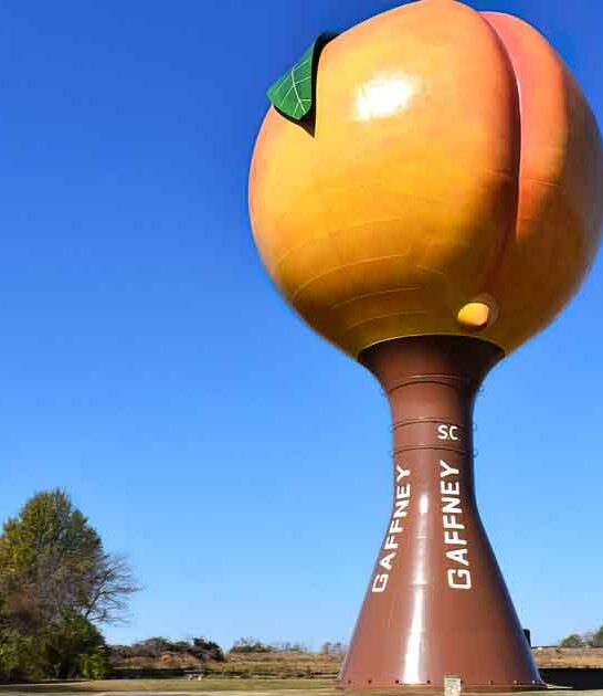 water tower south carolina ftr