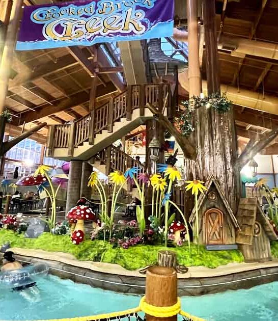 waterpark michigan kid feel ftr