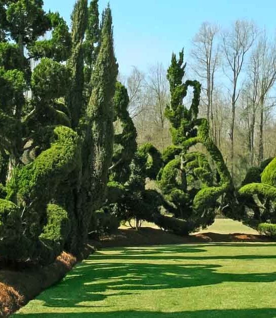 whimsical south carolina garden ftr