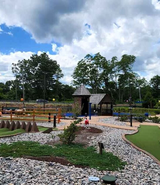 whimsical swiss golf connecticut ftr