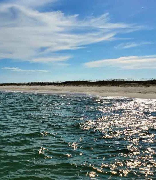 white sand beach florida ftr