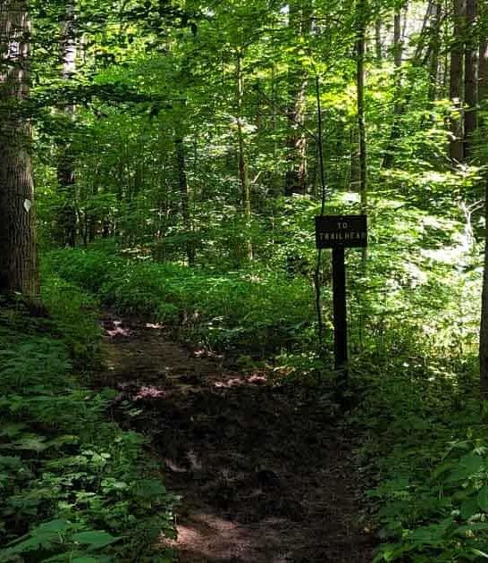 wild state park ohio ftr