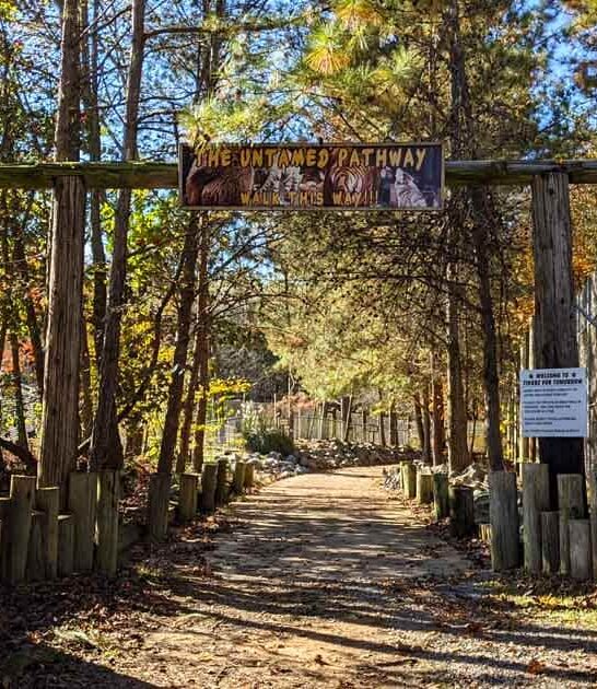 The Hidden Wildlife Park In Alabama That Will Make You Feel Like You&rsquo;re On Safari