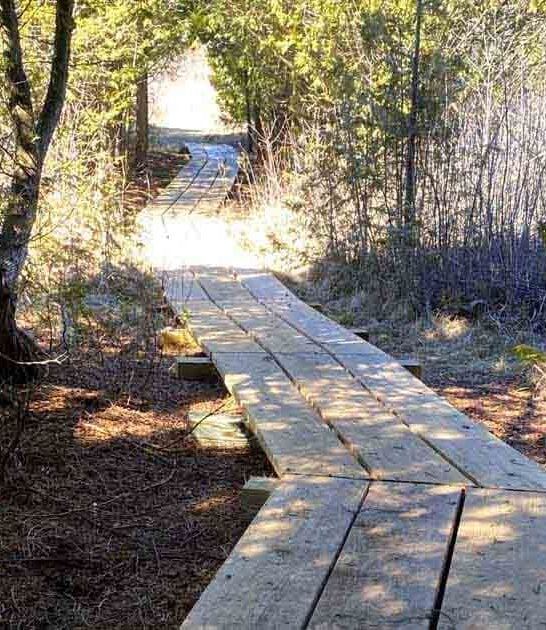 wisconsin nature preserve perfect ftr