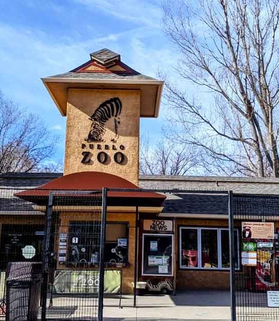zoo wildlife park colorado ftr