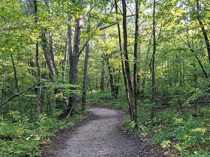 The Under-The-Radar Park In Minnesota That Feels Like A World Away From ...