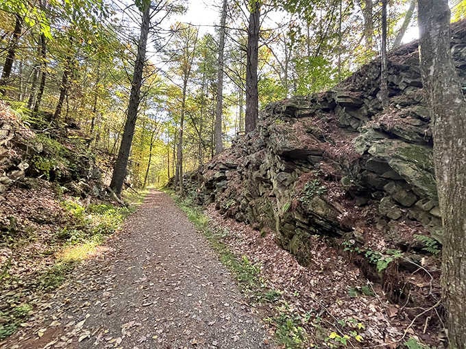 The Hidden Rail Trail In Massachusetts That Will Make You Feel Like You ...