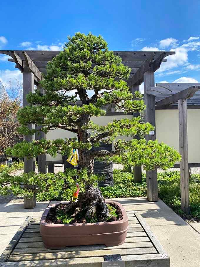 The Stunning Michigan Garden That Looks Like Something Straight Out Of ...