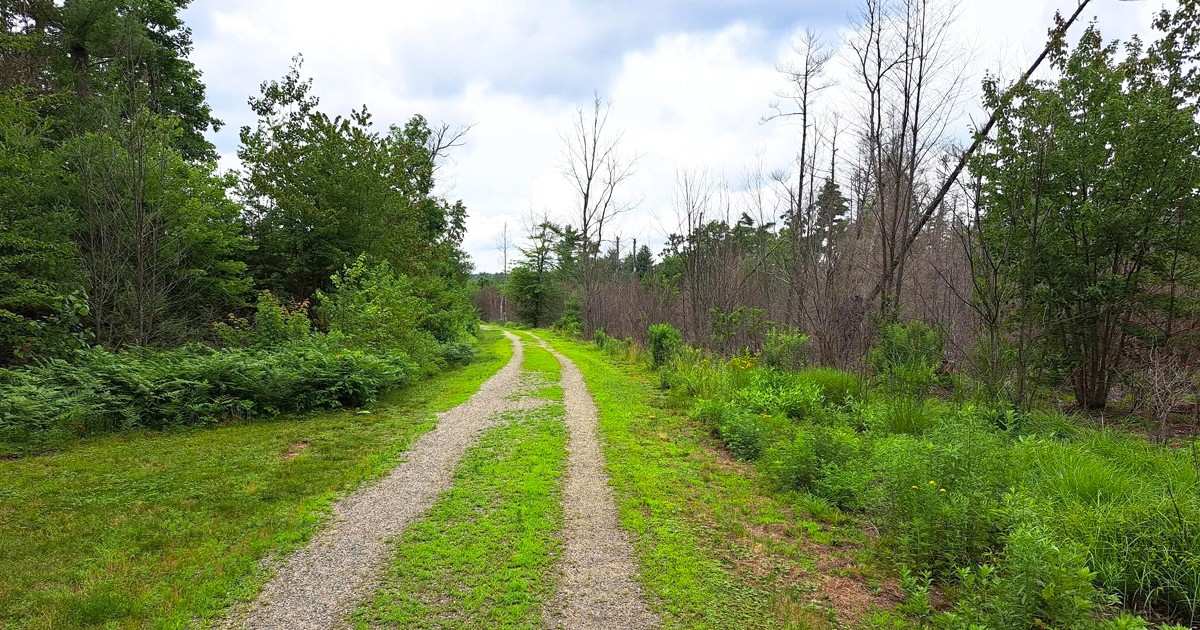 Most People Don't Know About This Stunning Old Railroad Trail Hiding In Massachusetts