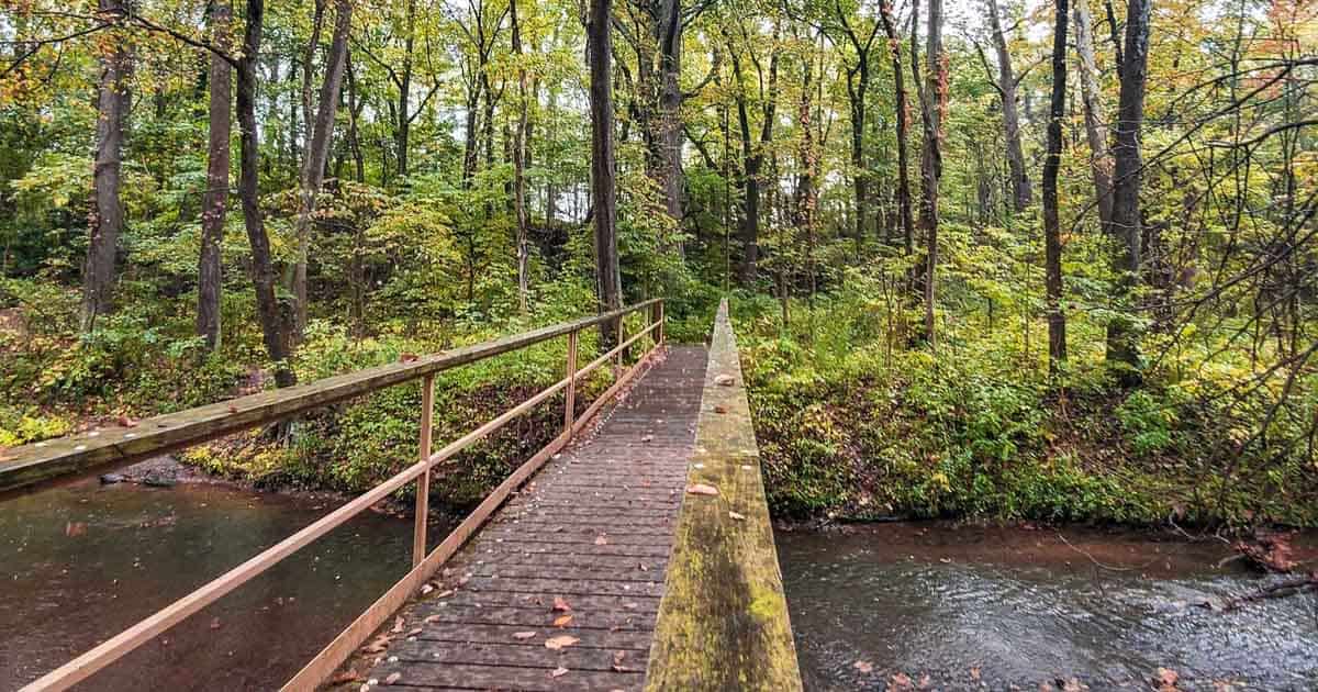 This Underrated Indiana Nature Preserve Offers Main Character Energy ...