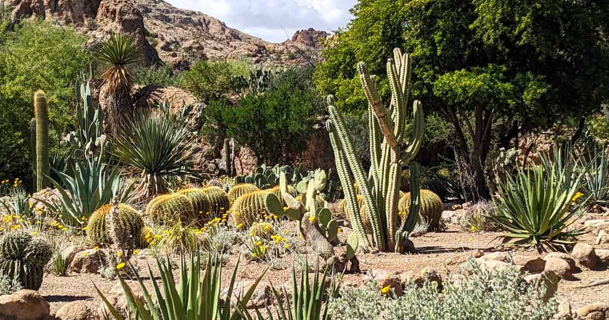 The 8 Most Jaw-Droppingly Magical Places In Arizona You Have To See To Believe