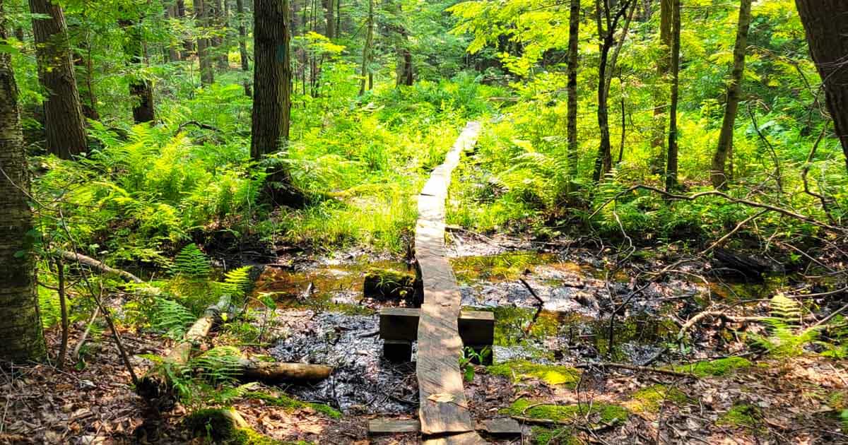 11 Unbelievable State Parks Hiding In Plain Sight Across Massachusetts