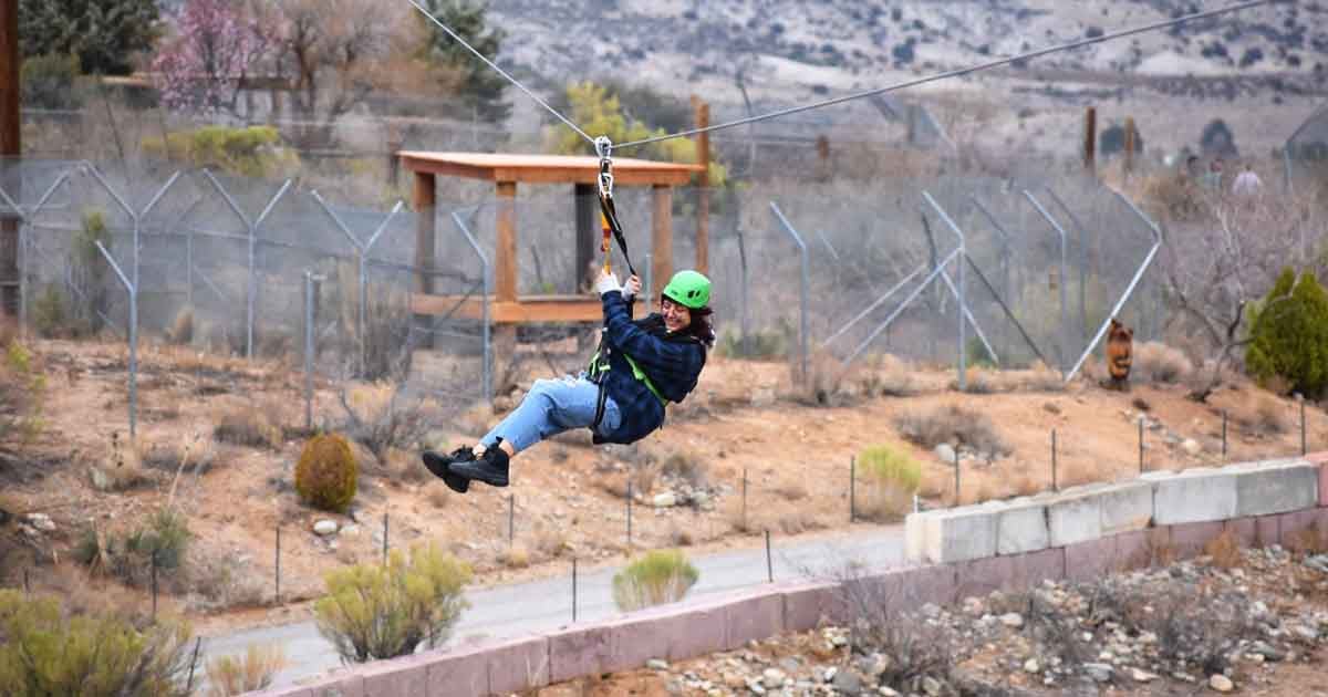 The Safari Adventure Course Hidden In Arizona That Will Make You Think You Left The Country