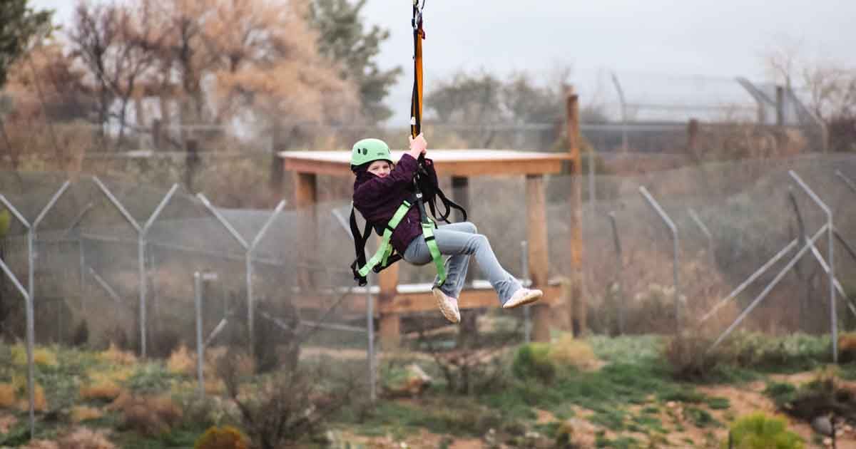 This Wild Safari Adventure Course In Arizona Will Make You Feel Like You're In The Serengeti