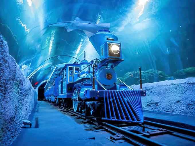 Experience An Underwater Train Ride Through A Magical Aquarium Right ...