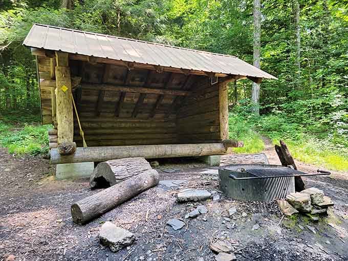 Magnetic Inn Header This Breathtaking State Forest In New York Is The Secret Retreat You ...