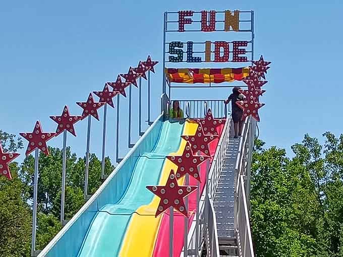 Experience An Amusement Park In Michigan So Fun It Makes Disneyland ...