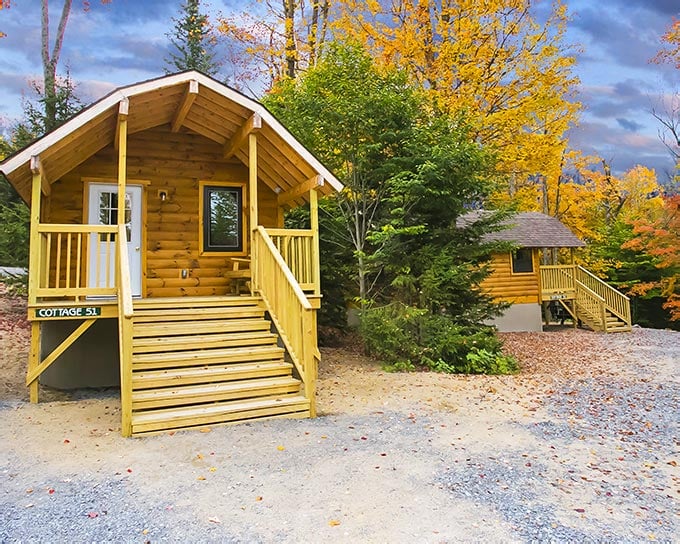 You'll Want To Pack Up And Head To This New York Campground Immediately