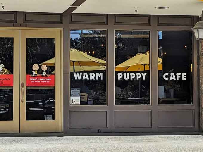 Santa Rosa Snoopy This Snoopy-Themed Cafe In California Will Transport You Straight Back ...