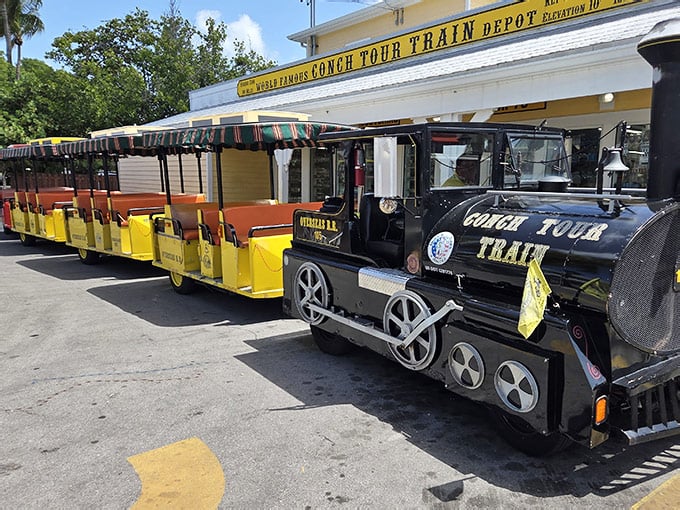 Florida Zoo Train Rides This Magical Train In Florida Offers An Experience You'll Remember Forever