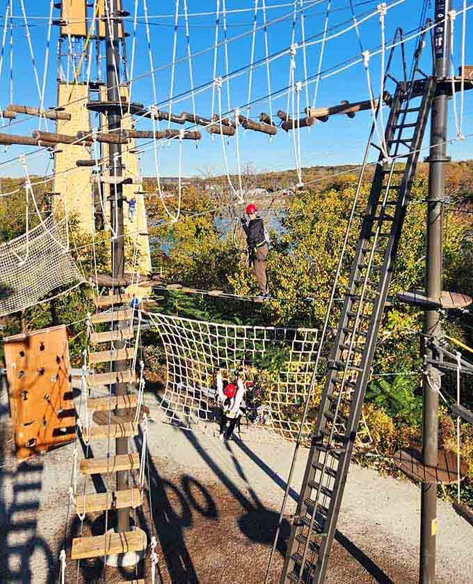 Magnifier Structure Unleash Your Inner Child At An Adventure Park In Illinois That Feels ...