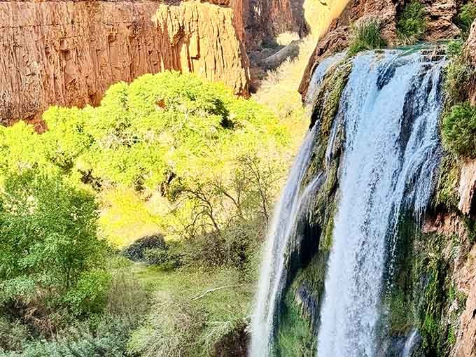 Spot Filter Fan The 8 Arizona Spots That Have Achieved Almost Cult-Like Status Among ...