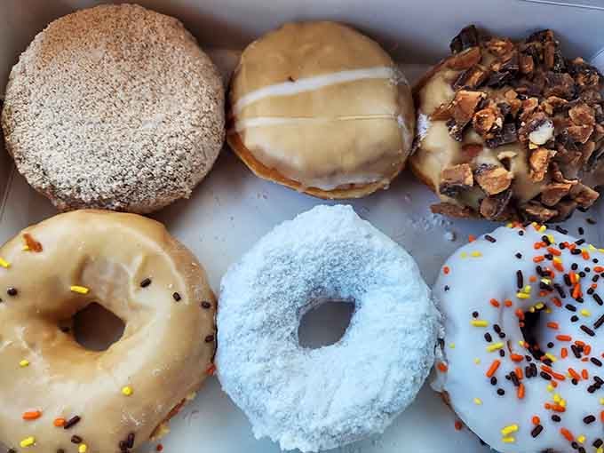 Glass Filling Tooth Sink Your Teeth Into The Most Ridiculously Perfect Donuts At This ...