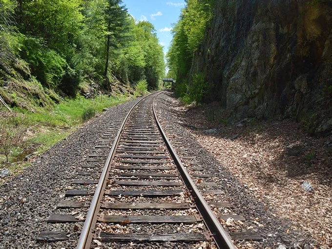 This Unforgettable Connecticut Train Ride Takes You Through The Most ...