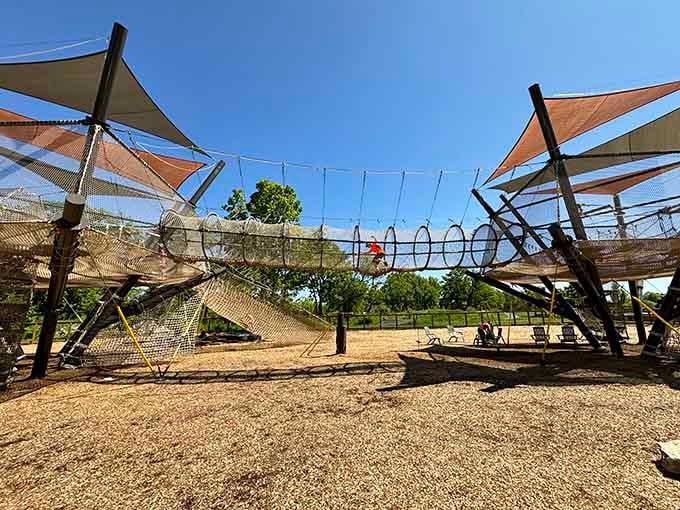 The Most Epic Adventure Park In Illinois Will Unleash Your Wild Side ...
