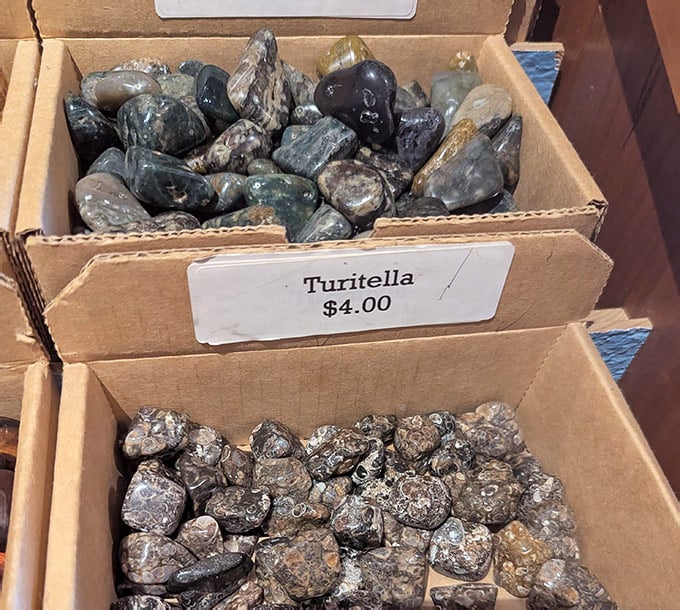 The Coolest Rock Shop In Michigan Is A Geological Wonderland That ...