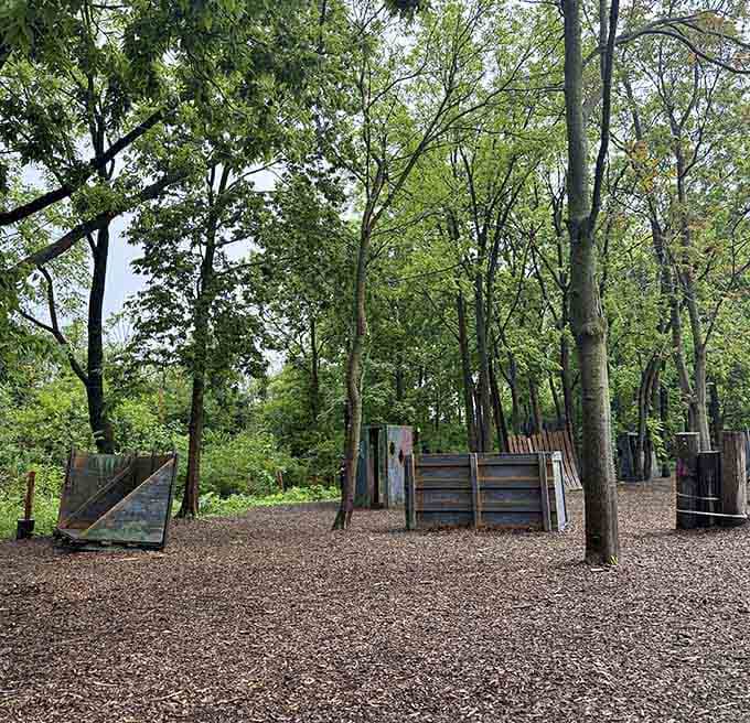 Magnifier Structure The Most Epic Adventure Park In Illinois Will Unleash Your Wild Side ...
