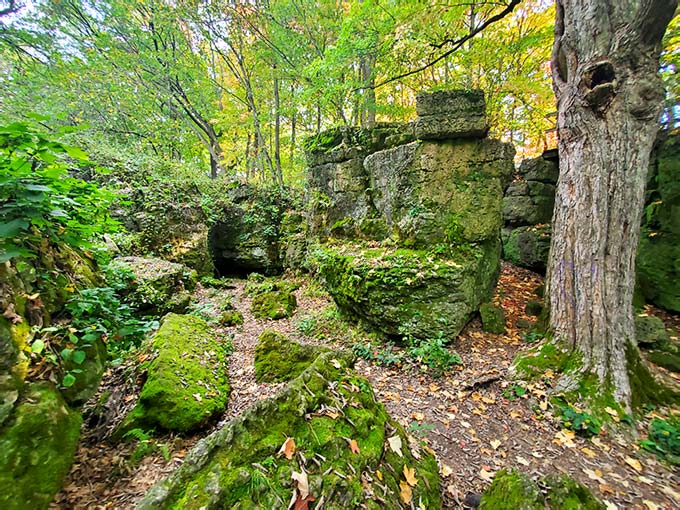This Overlooked Wisconsin County Park Has Walking Trails So Beautiful ...
