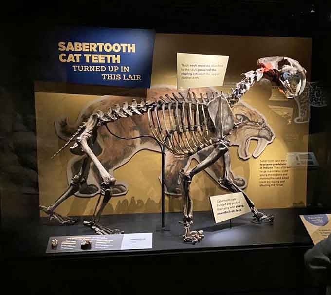 The Most Famous Interactive Museum In Indiana Will Make You Feel Like A ...